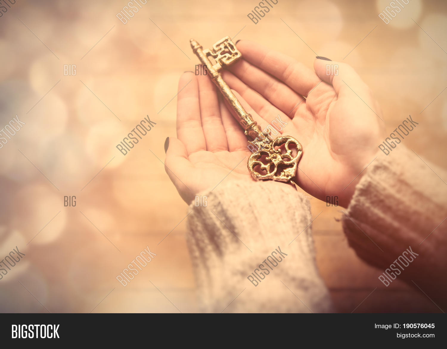 Hands Holding Key Image & Photo (Free Trial) | Bigstock