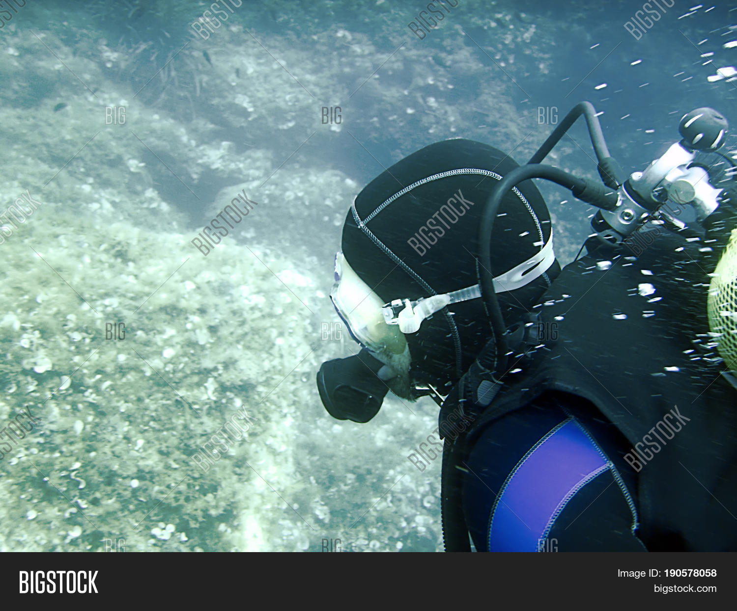 Diver Underwater. Image & Photo (Free Trial) | Bigstock