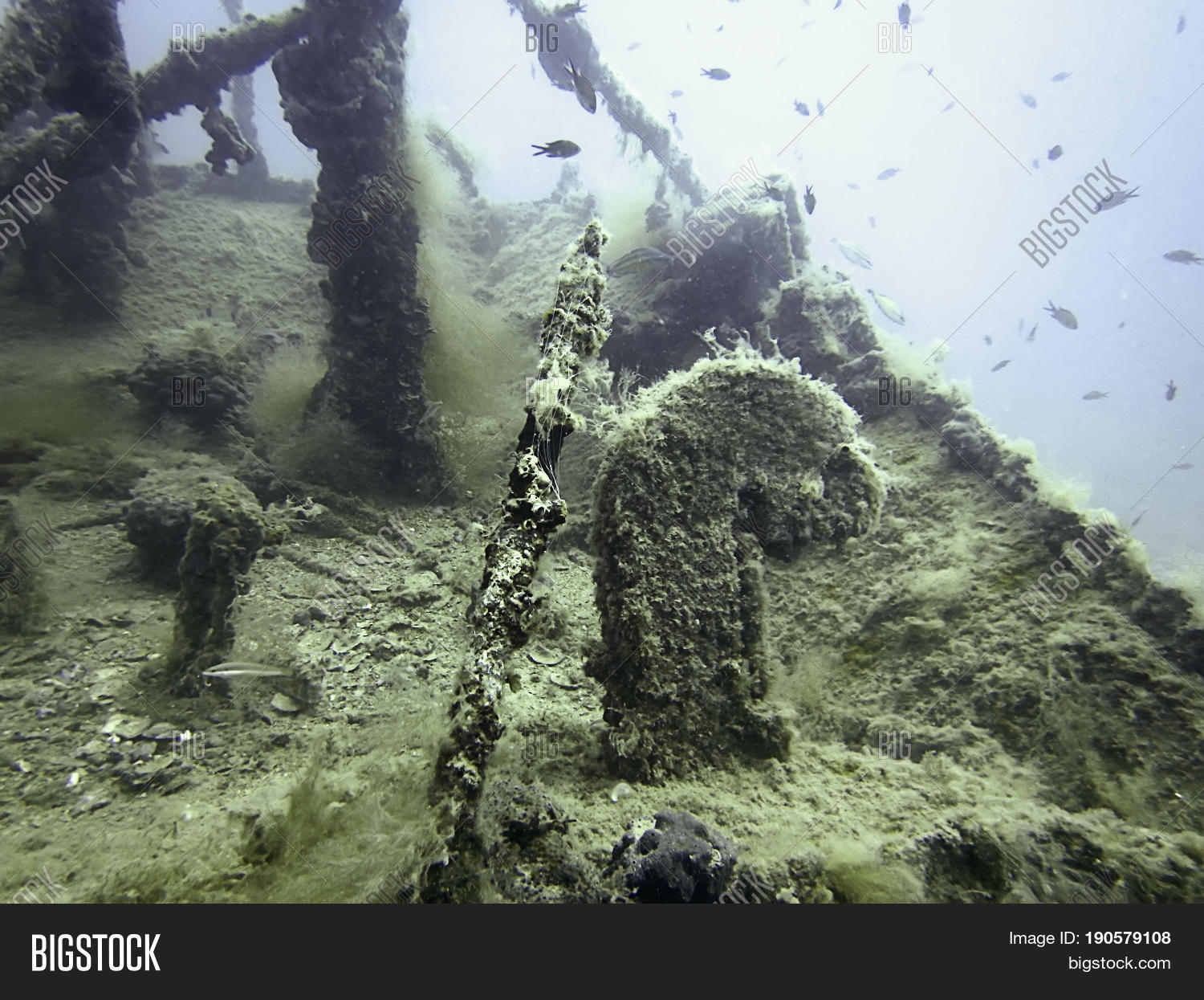 Underwater Wreck. Image & Photo (Free Trial) | Bigstock