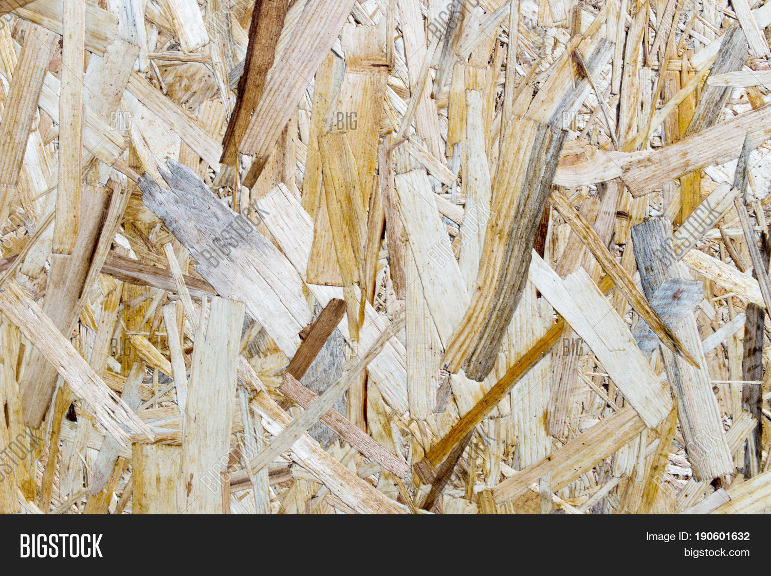 Pressed Wooden Panel Image & Photo (Free Trial) | Bigstock