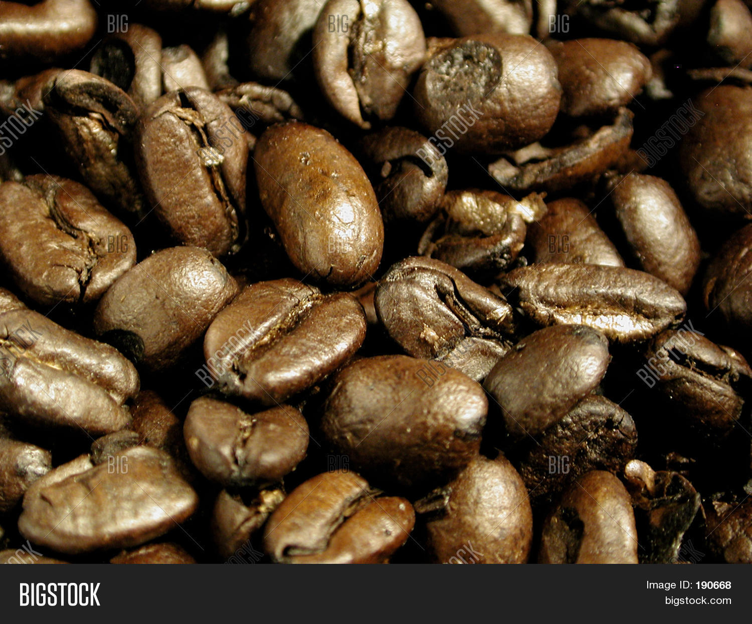 Coffee Beans Image & Photo (Free Trial) | Bigstock