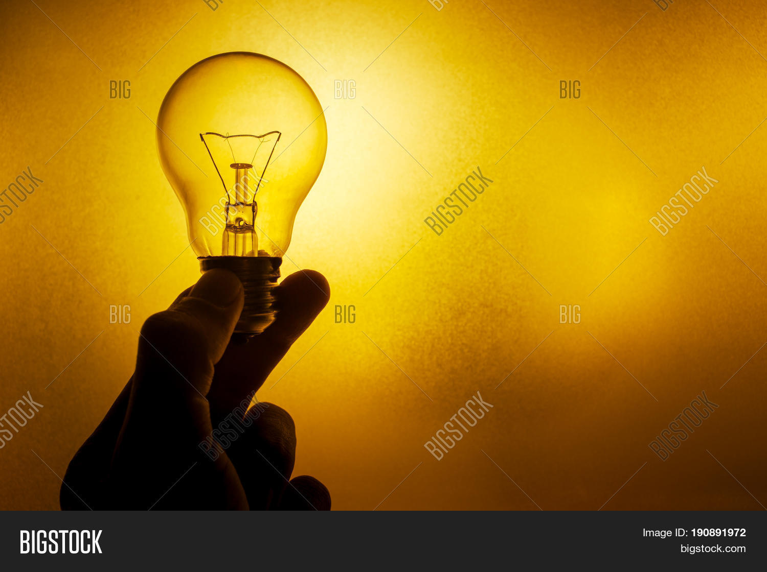 Clear Light Bulb Photography