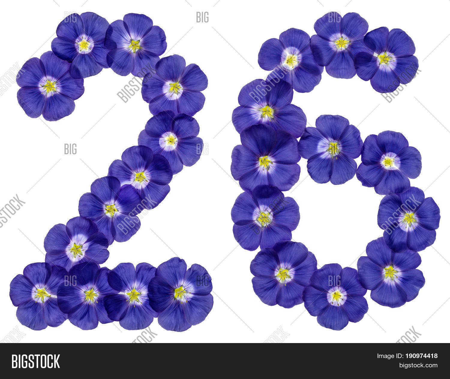 Arabic Numeral 26, Image & Photo (Free Trial) | Bigstock