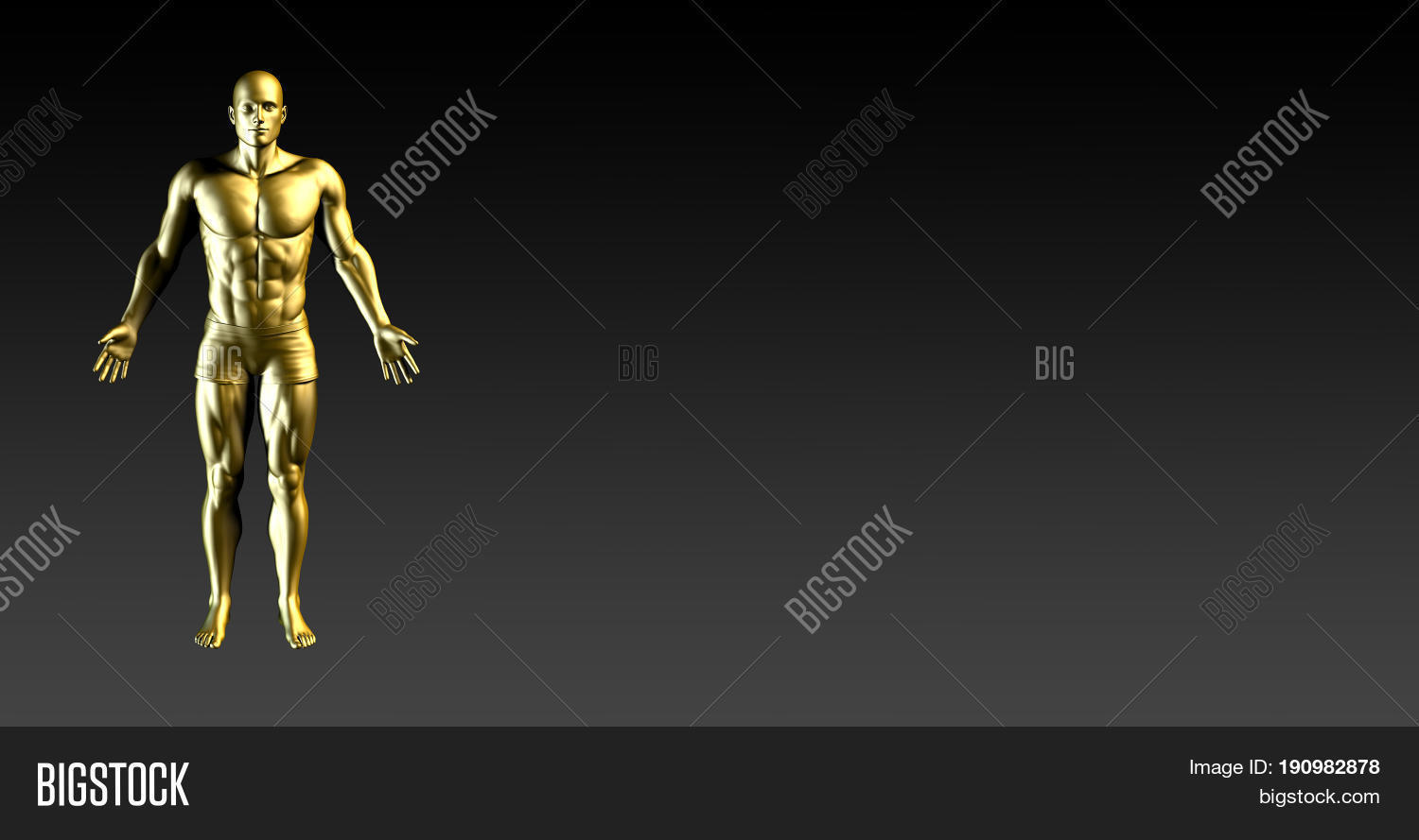 Human Body Image & Photo (Free Trial) | Bigstock