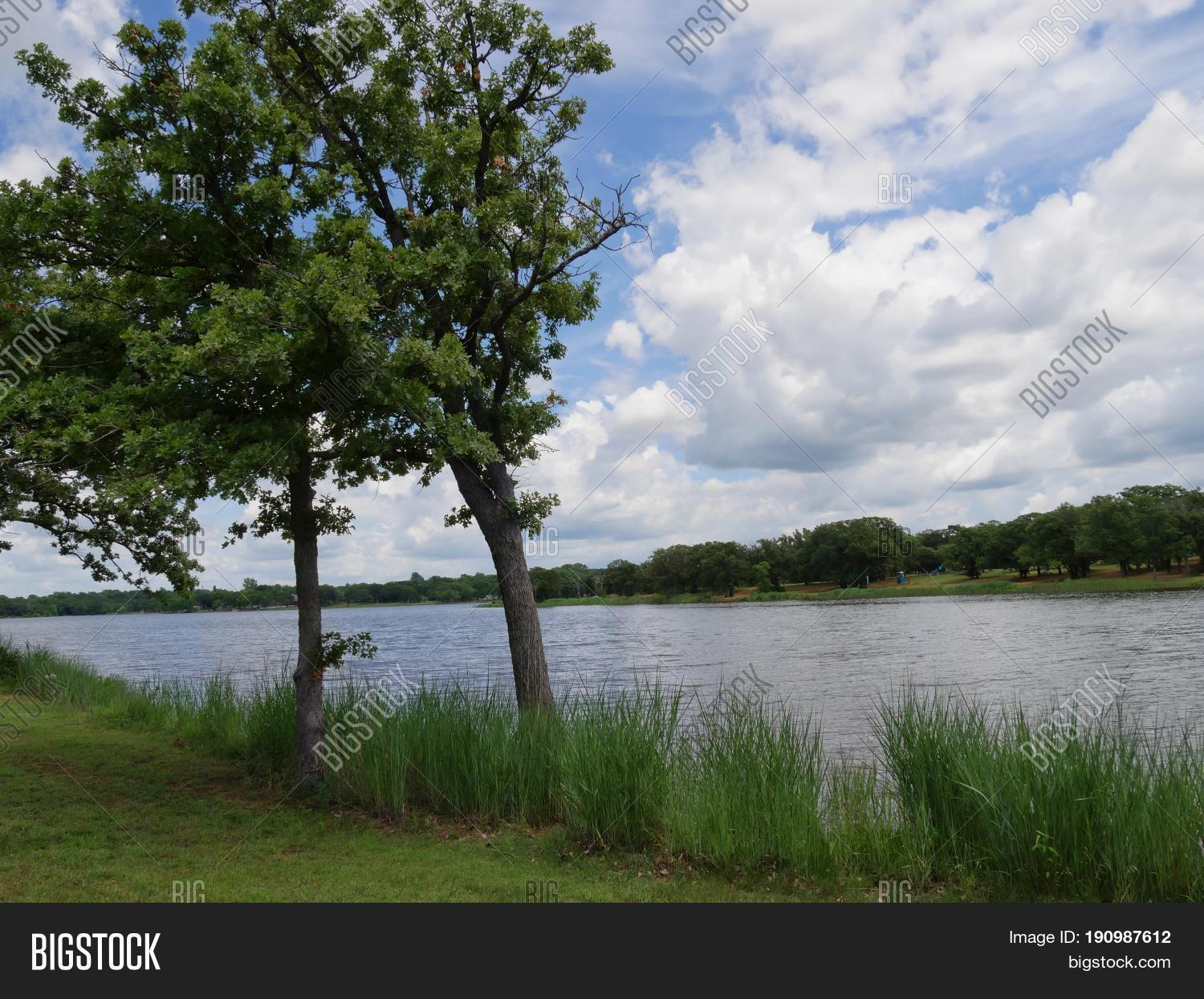Two Trees Beside Lake Image & Photo (Free Trial) | Bigstock