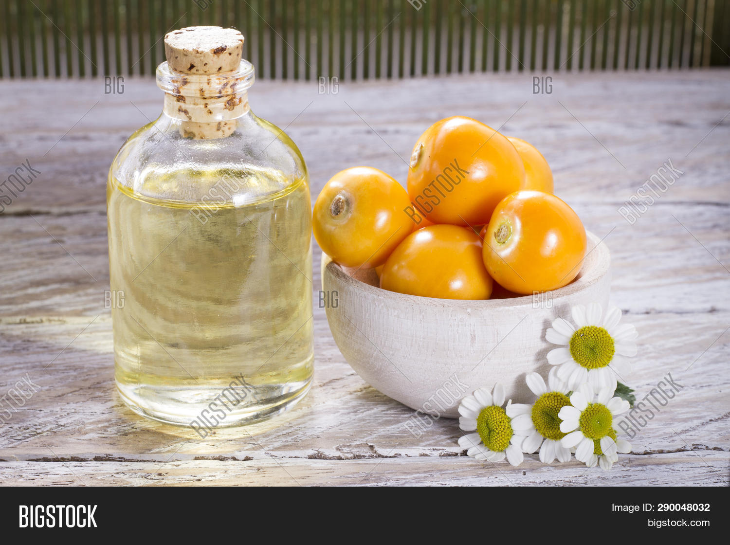Imagen y foto Fruit Uchuva, (prueba gratis) | Bigstock