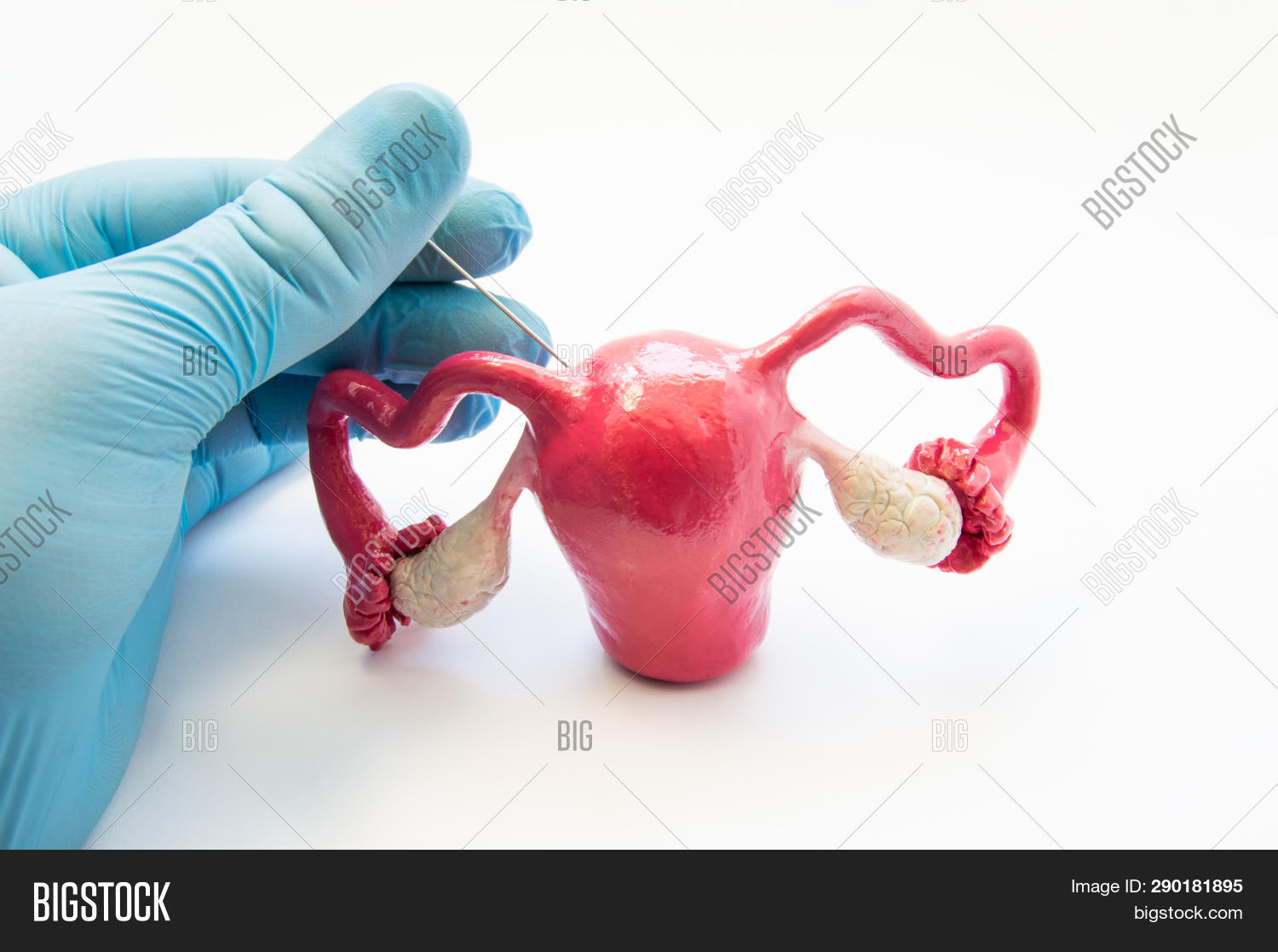 Concept Photo Image & Photo (Free Trial) | Bigstock