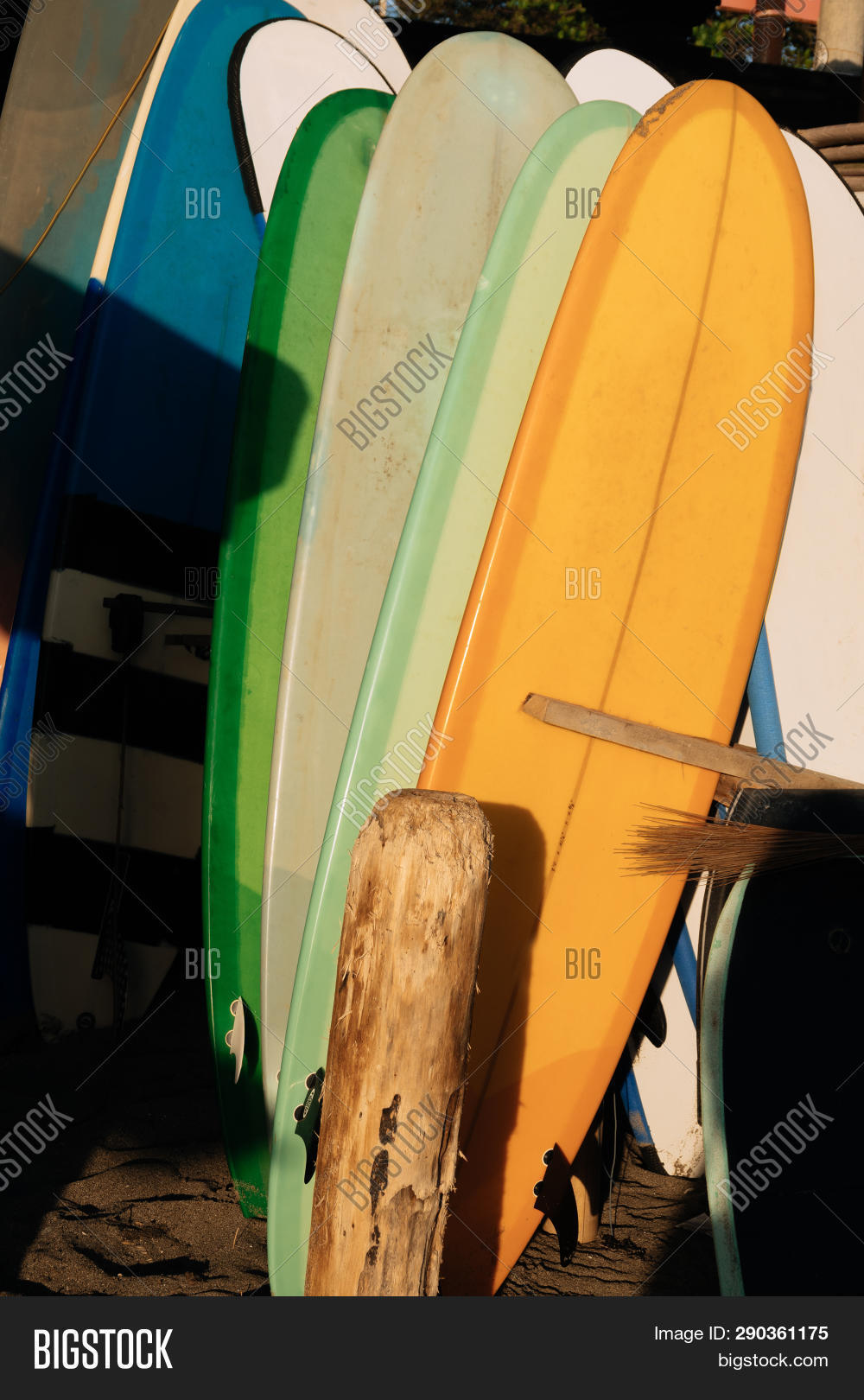 Set Different Color Image & Photo (Free Trial) | Bigstock