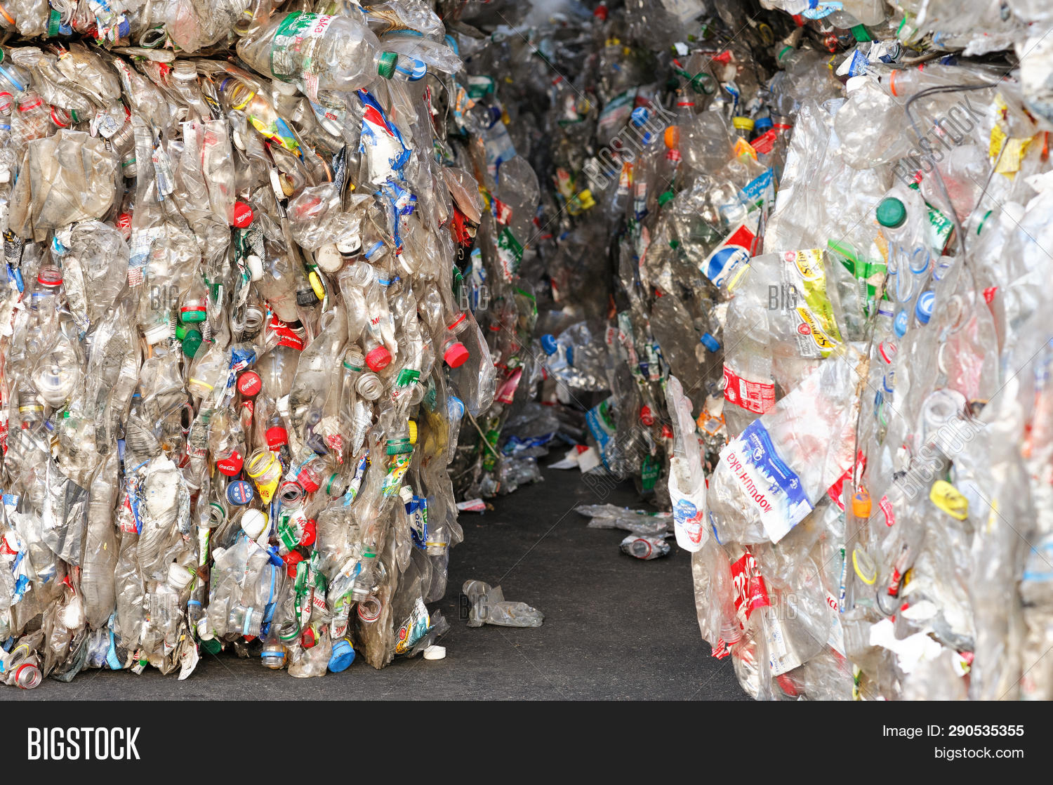 Pressed Plastic Image & Photo (Free Trial) | Bigstock