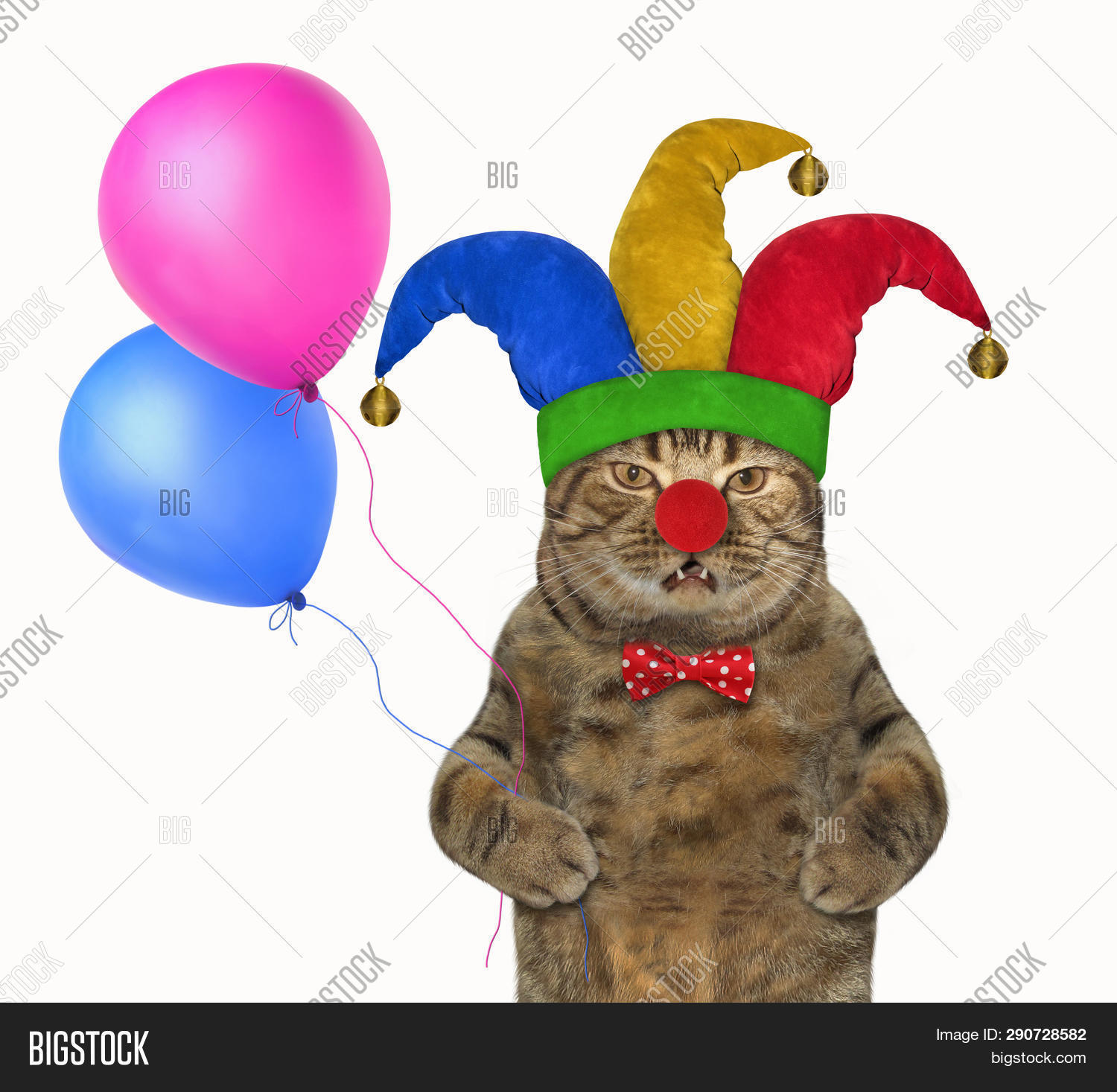 Funny Cat Jester Hat Image & Photo (Free Trial) | Bigstock