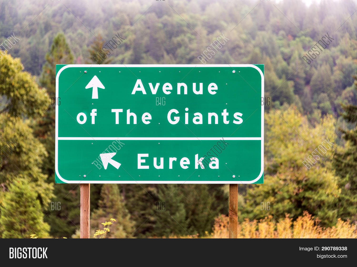 Highway Sign Eureka Image & Photo (Free Trial) | Bigstock
