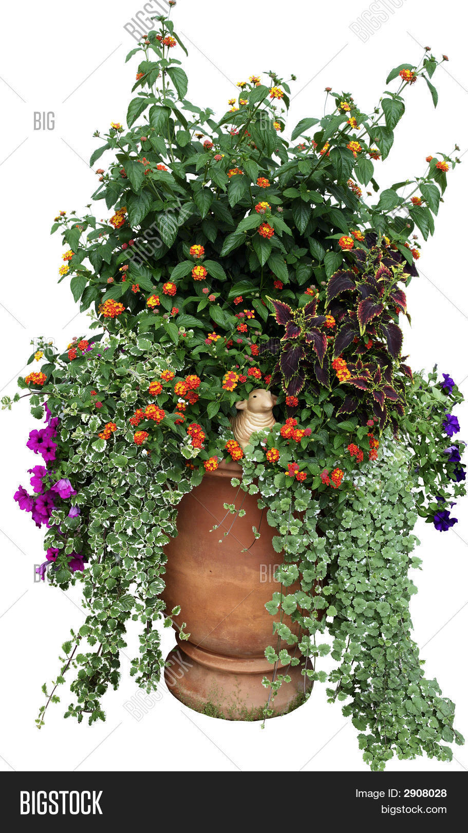 Potted Plant Image & Photo (Free Trial) | Bigstock
