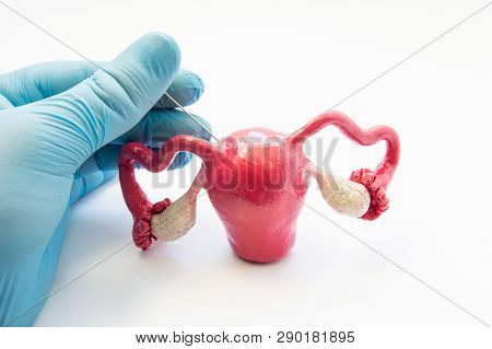 Concept Photo Image & Photo (Free Trial) | Bigstock