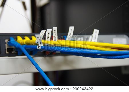 Front Colorful Utp Lan Image & Photo (Free Trial) | Bigstock