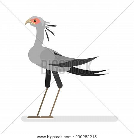 Secretary Bird. Wild Vector & Photo (Free Trial) | Bigstock