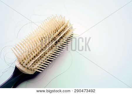 Hair Loss Comb Caught Image & Photo (Free Trial) | Bigstock