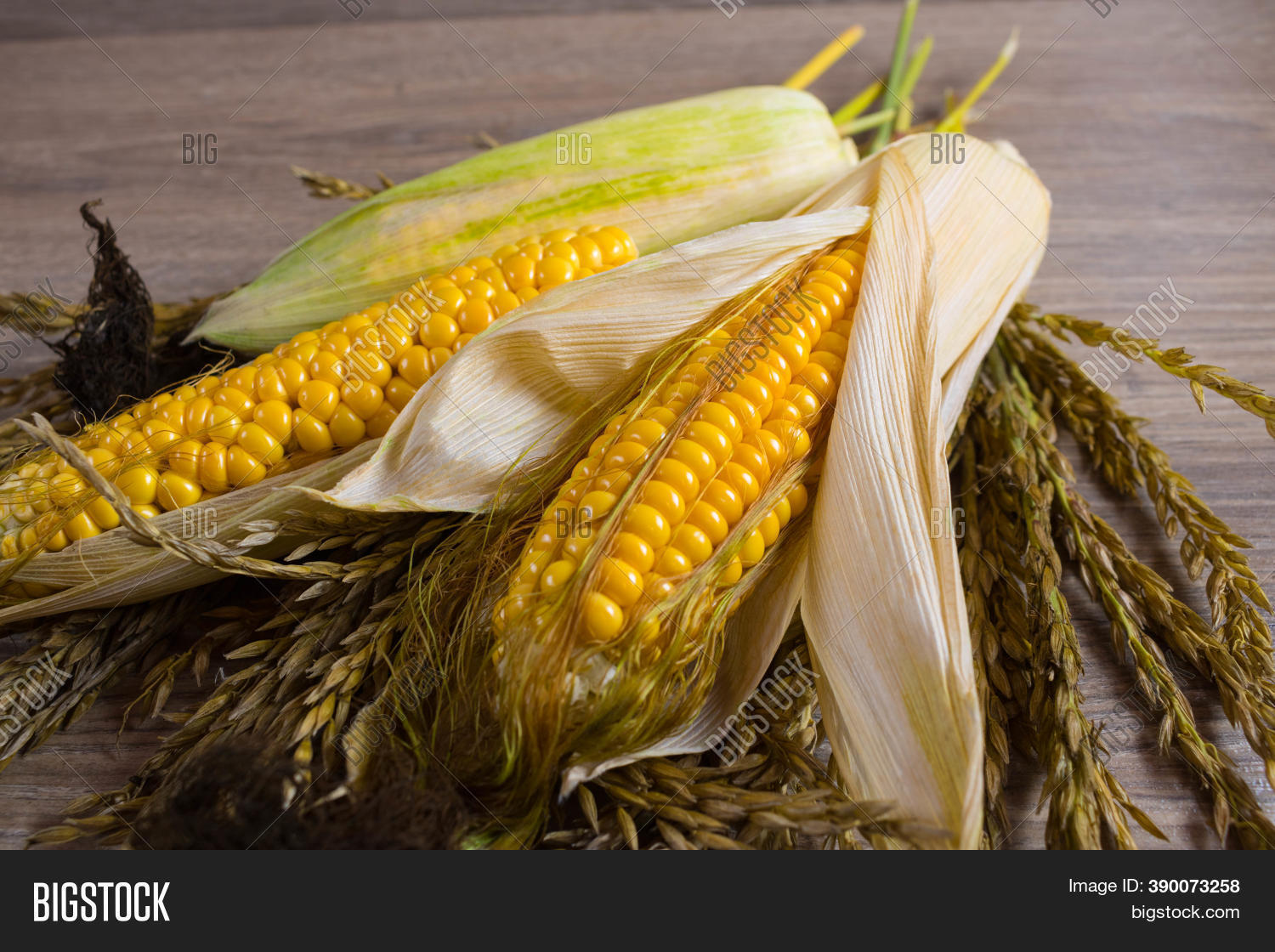 Corn Lies On Canvas. Image & Photo (Free Trial) | Bigstock