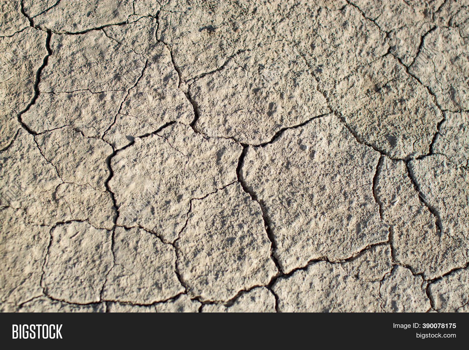 Waterless Dry Dead Image & Photo (Free Trial) | Bigstock