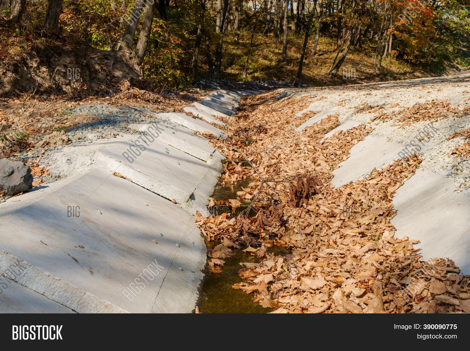 Gutter Filled Fallen Image & Photo (Free Trial) | Bigstock