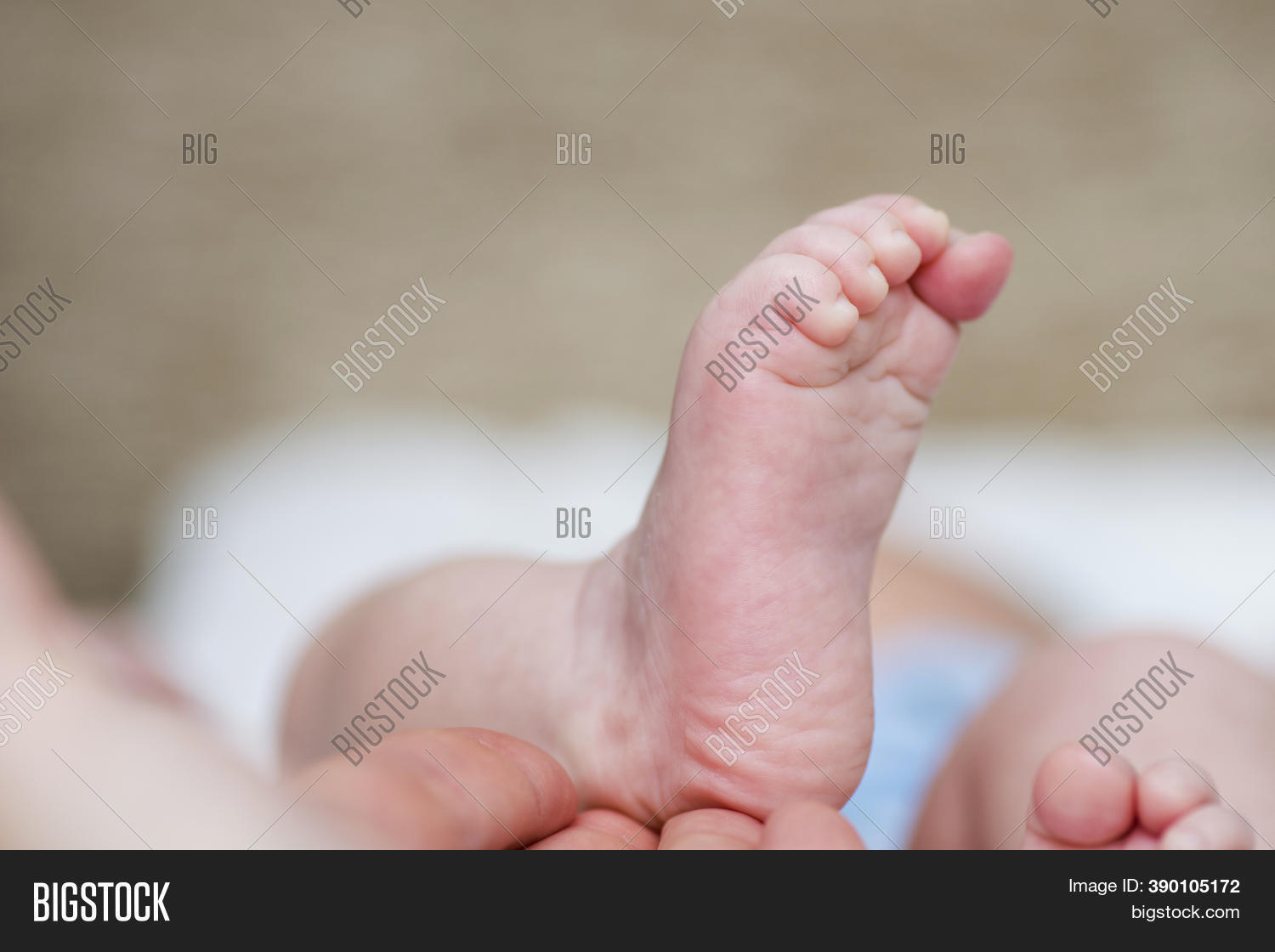 New Born Baby Feet. Image & Photo (Free Trial) | Bigstock