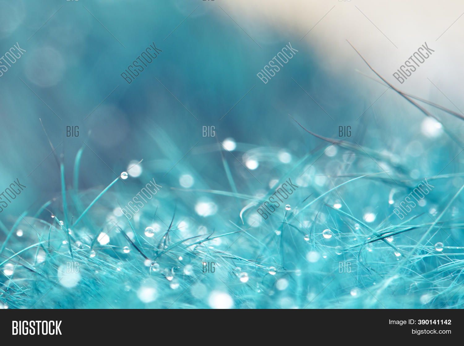 Abstract Soft Natural Image & Photo (Free Trial) | Bigstock