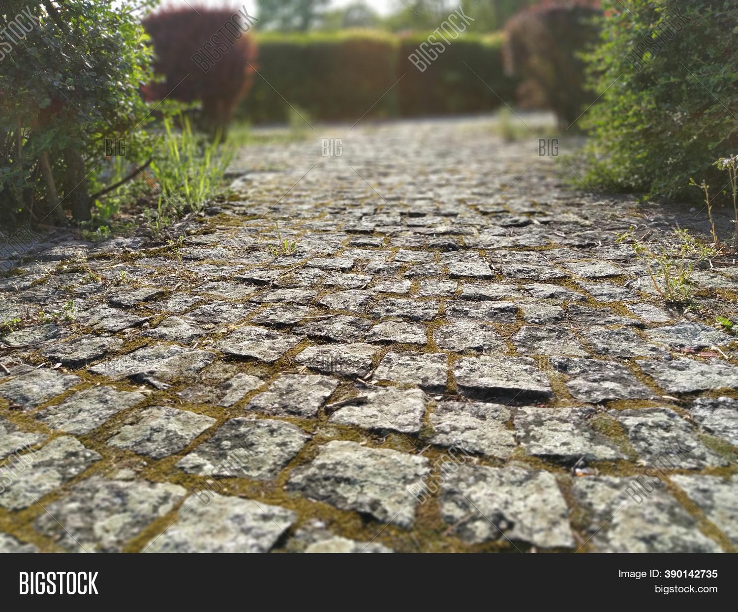 Cobblestone Road Image & Photo (Free Trial) | Bigstock
