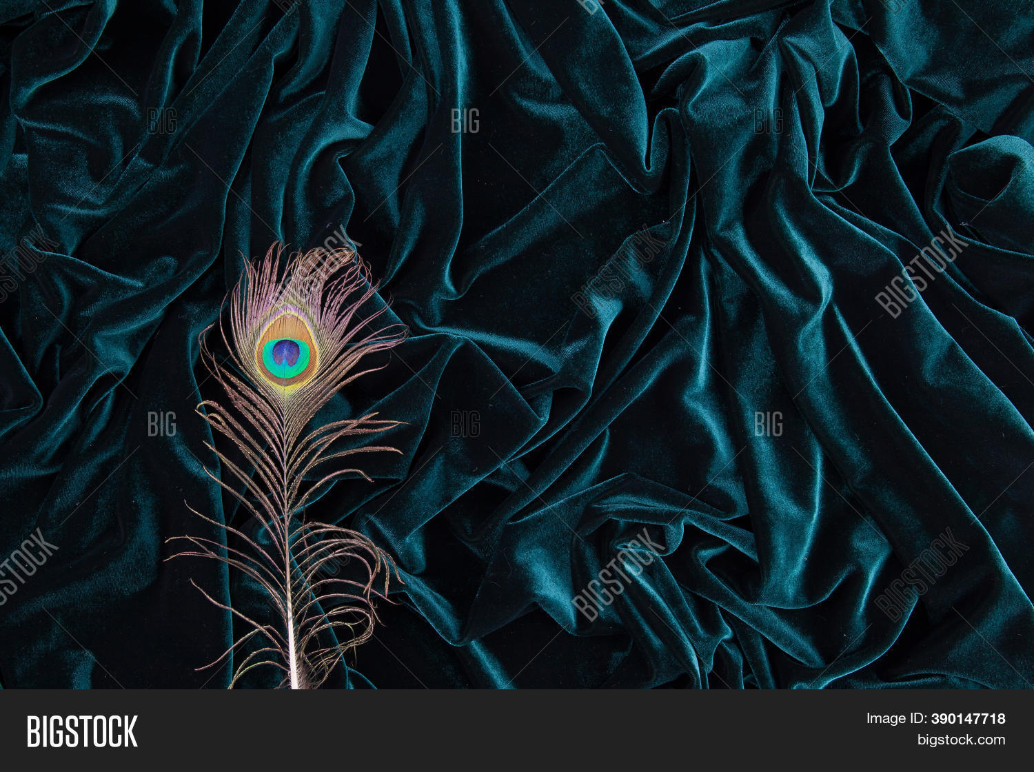 Beautiful Orginal Image & Photo (Free Trial) | Bigstock