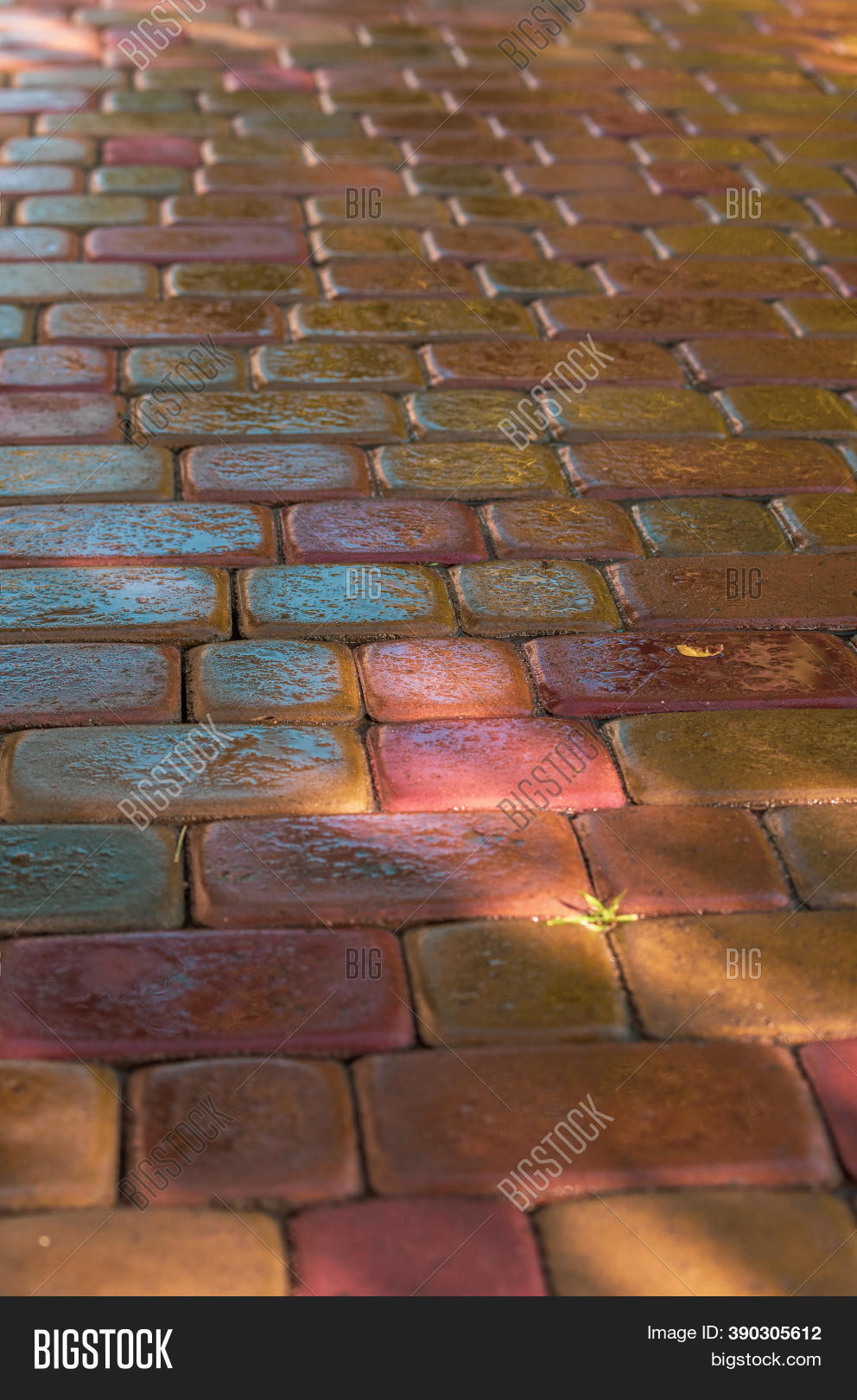 Pink Paving Slab After Image & Photo (Free Trial) | Bigstock