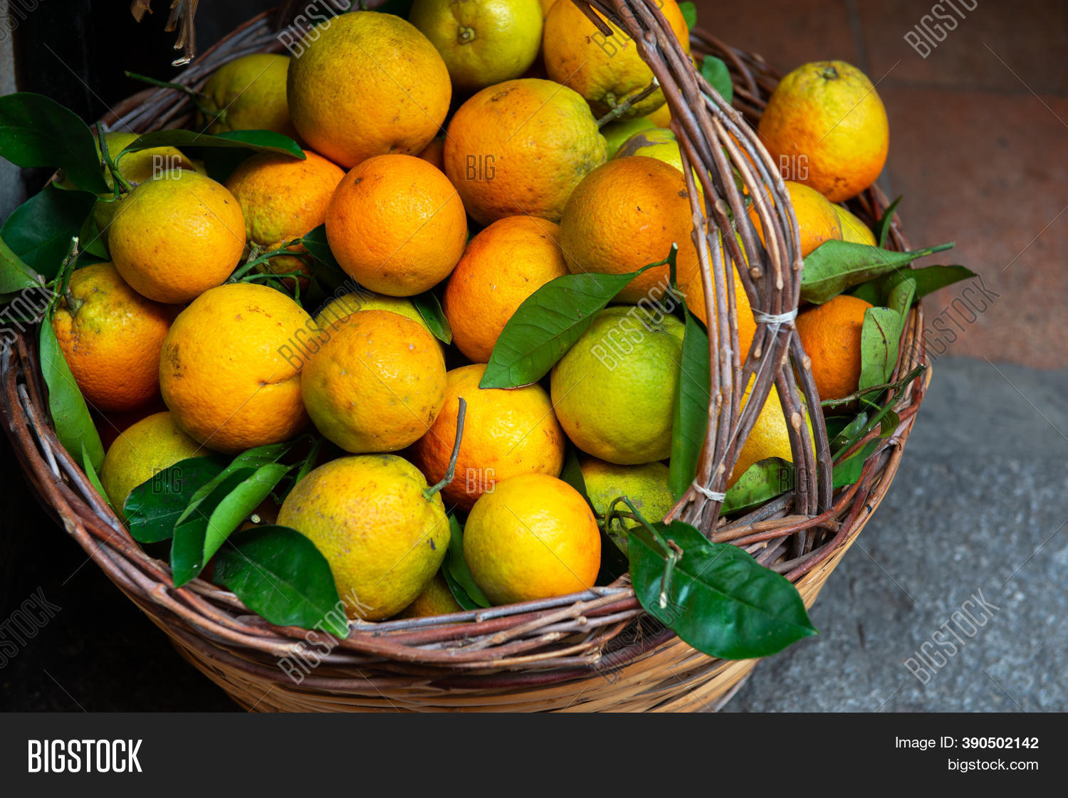 Basket Oranges? Citrus Image & Photo (Free Trial) | Bigstock