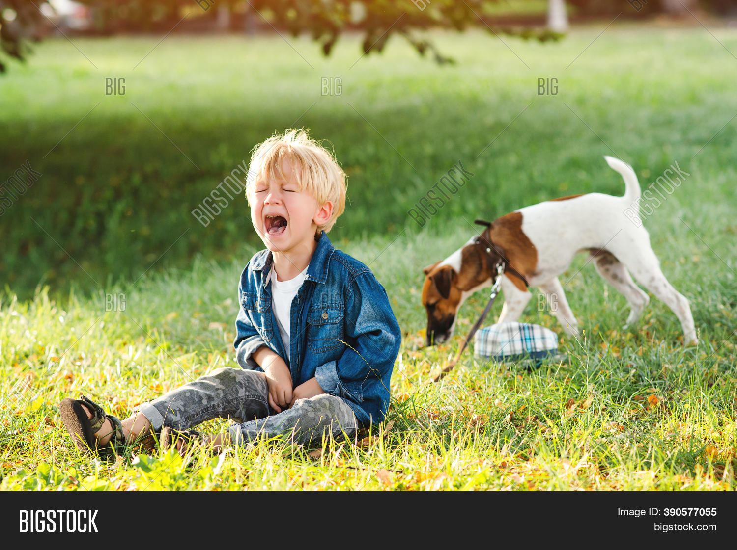 Little Boy Crying Image & Photo (Free Trial) | Bigstock