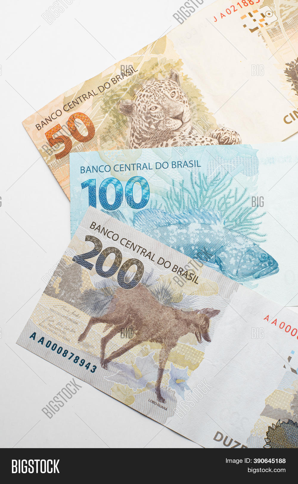 Back Brazilian Image & Photo (Free Trial) | Bigstock