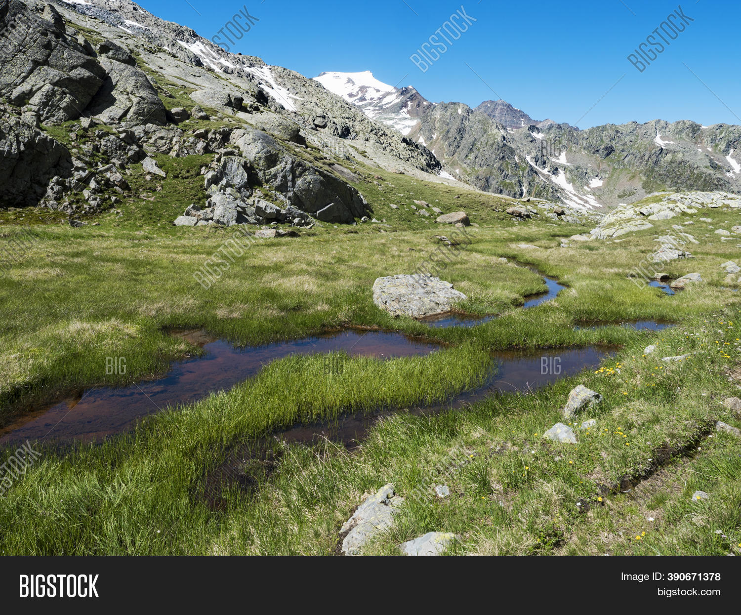 Beautiful Wetland Image & Photo (Free Trial) | Bigstock