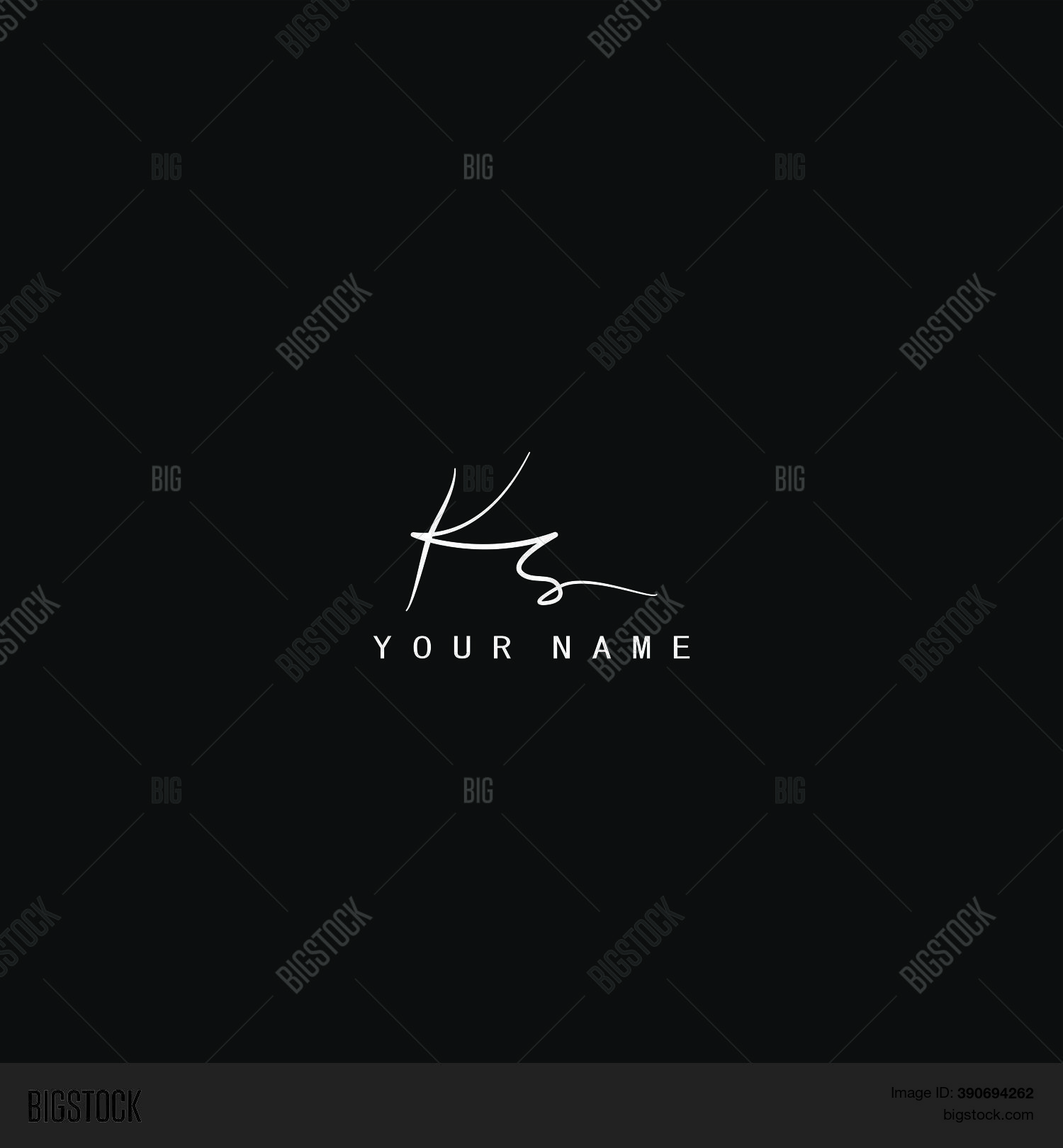 S Signature Symbol