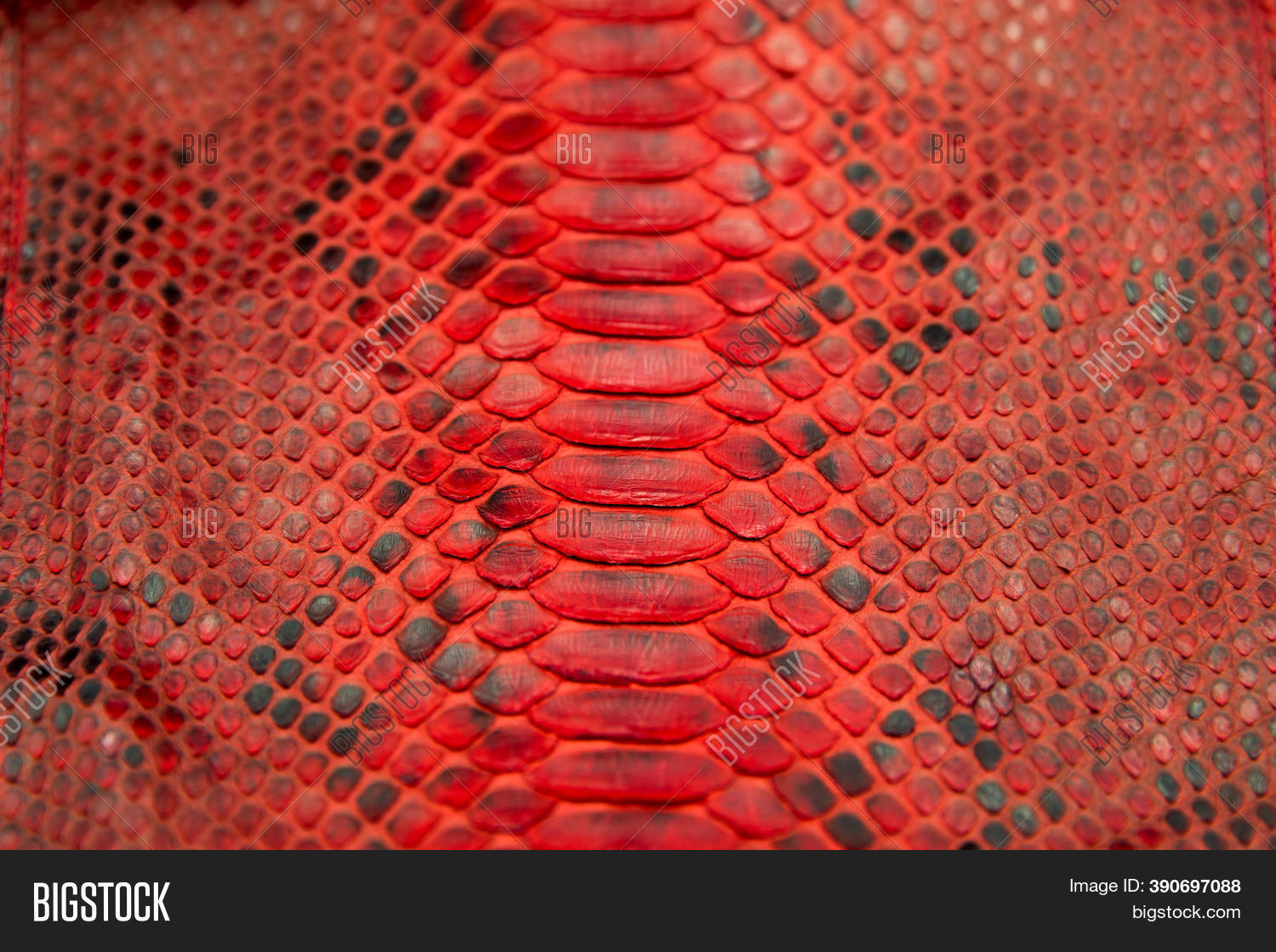 Trendy Natural Red Image & Photo (Free Trial) | Bigstock