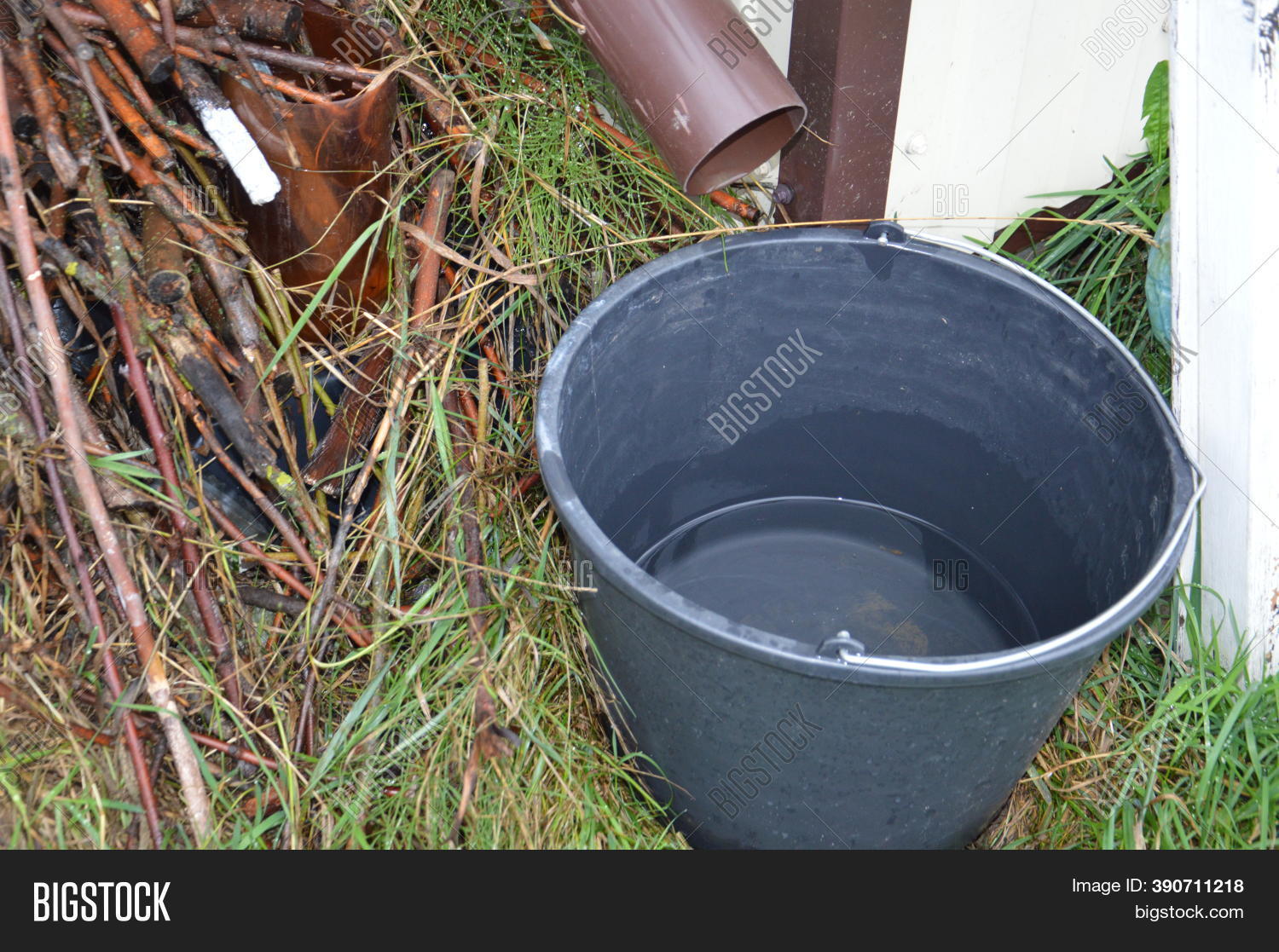 Rain Drips Into Bucket Image & Photo (Free Trial) | Bigstock