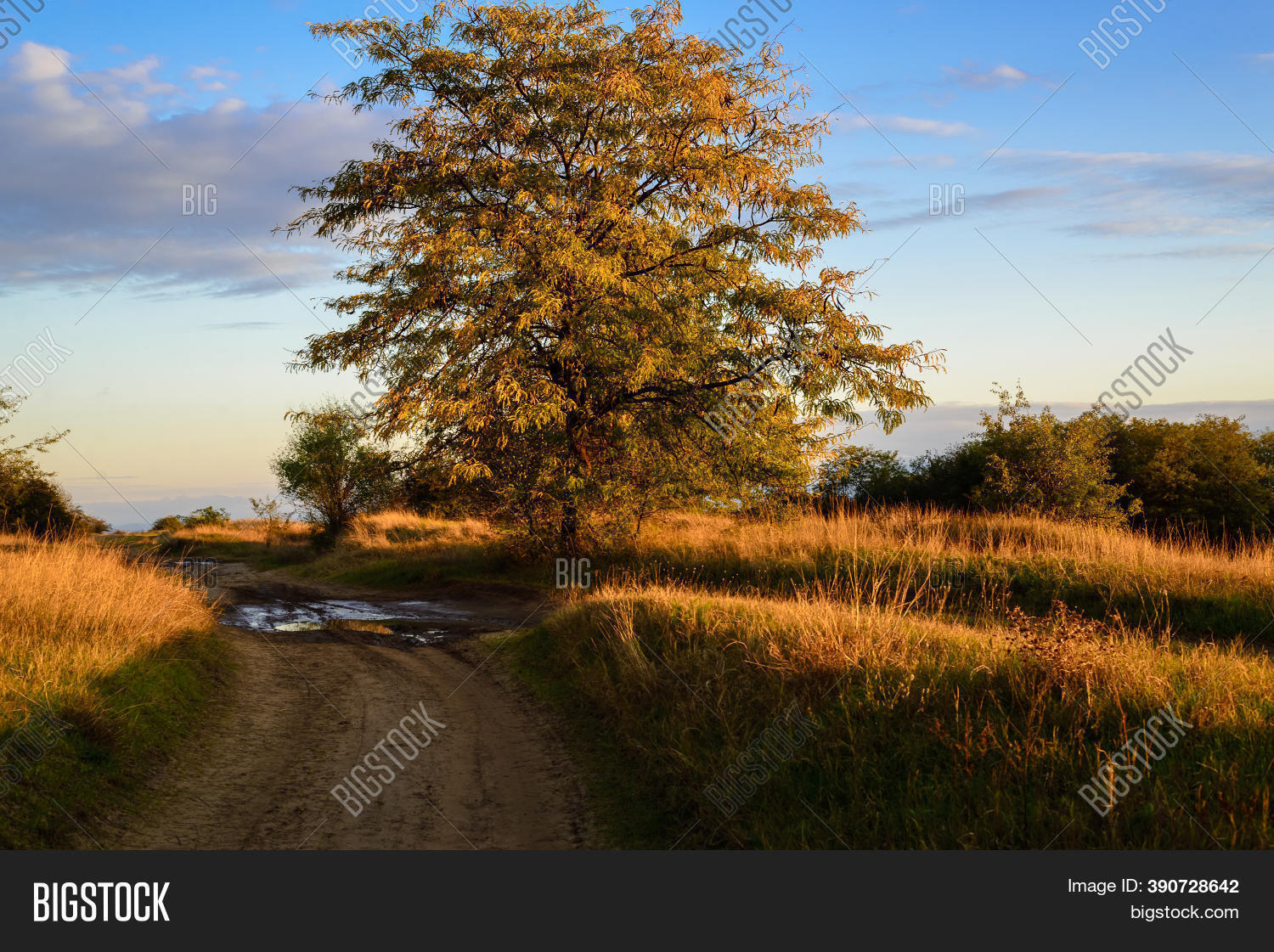 Sunset Countryside Image & Photo (Free Trial) | Bigstock