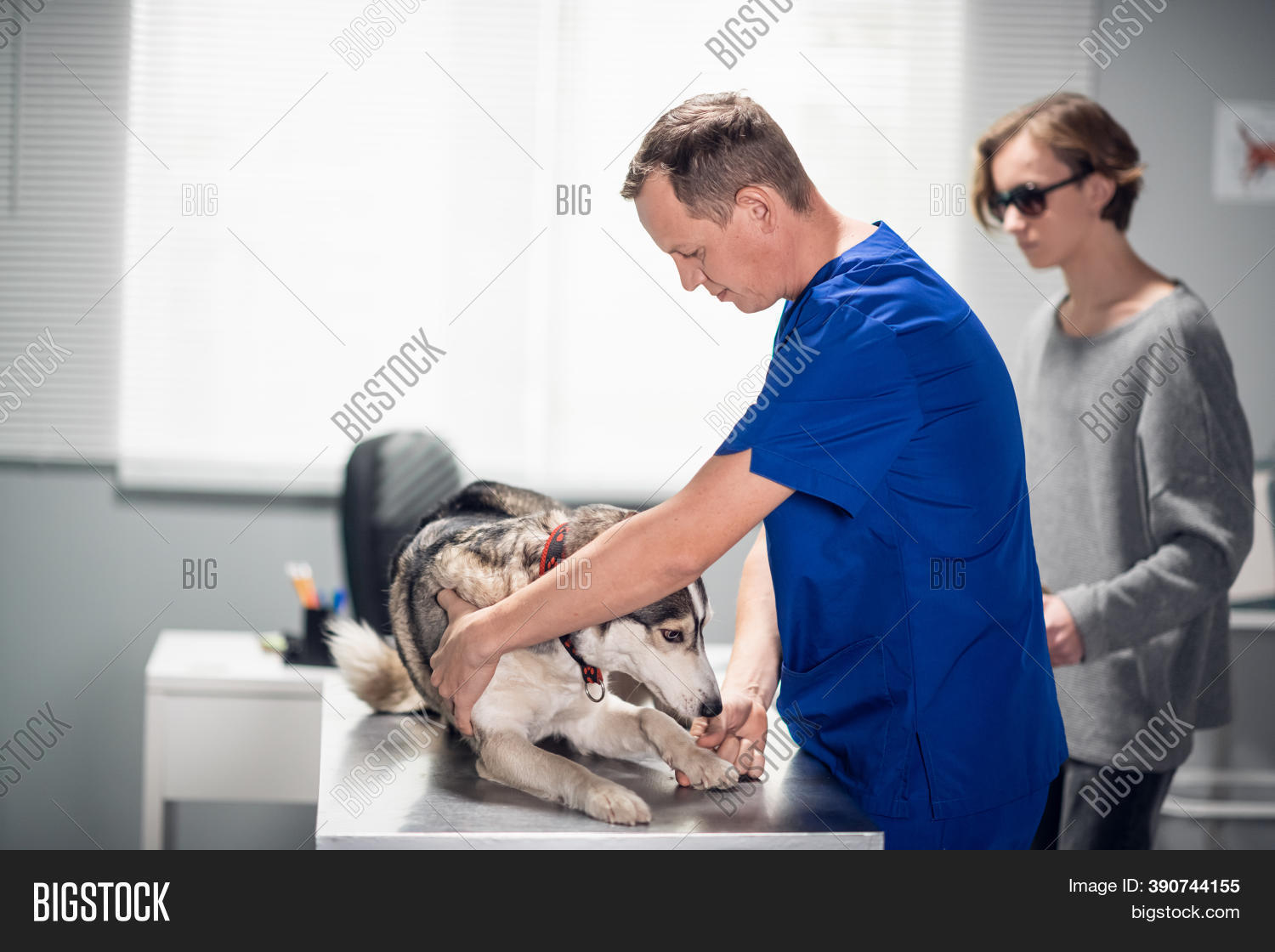 Male Veterinarian Image & Photo (Free Trial) | Bigstock