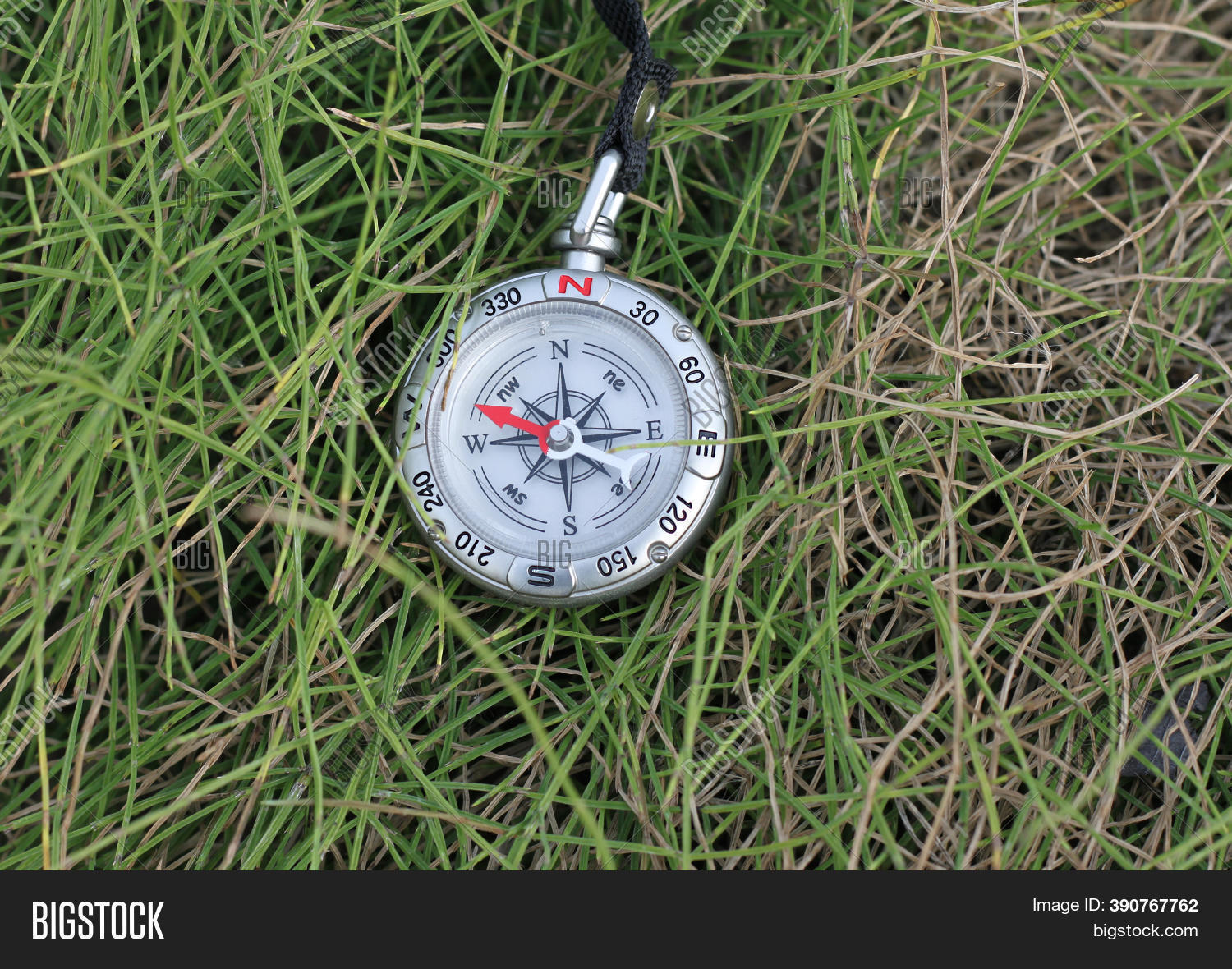 Round Compass On Image & Photo (Free Trial) | Bigstock