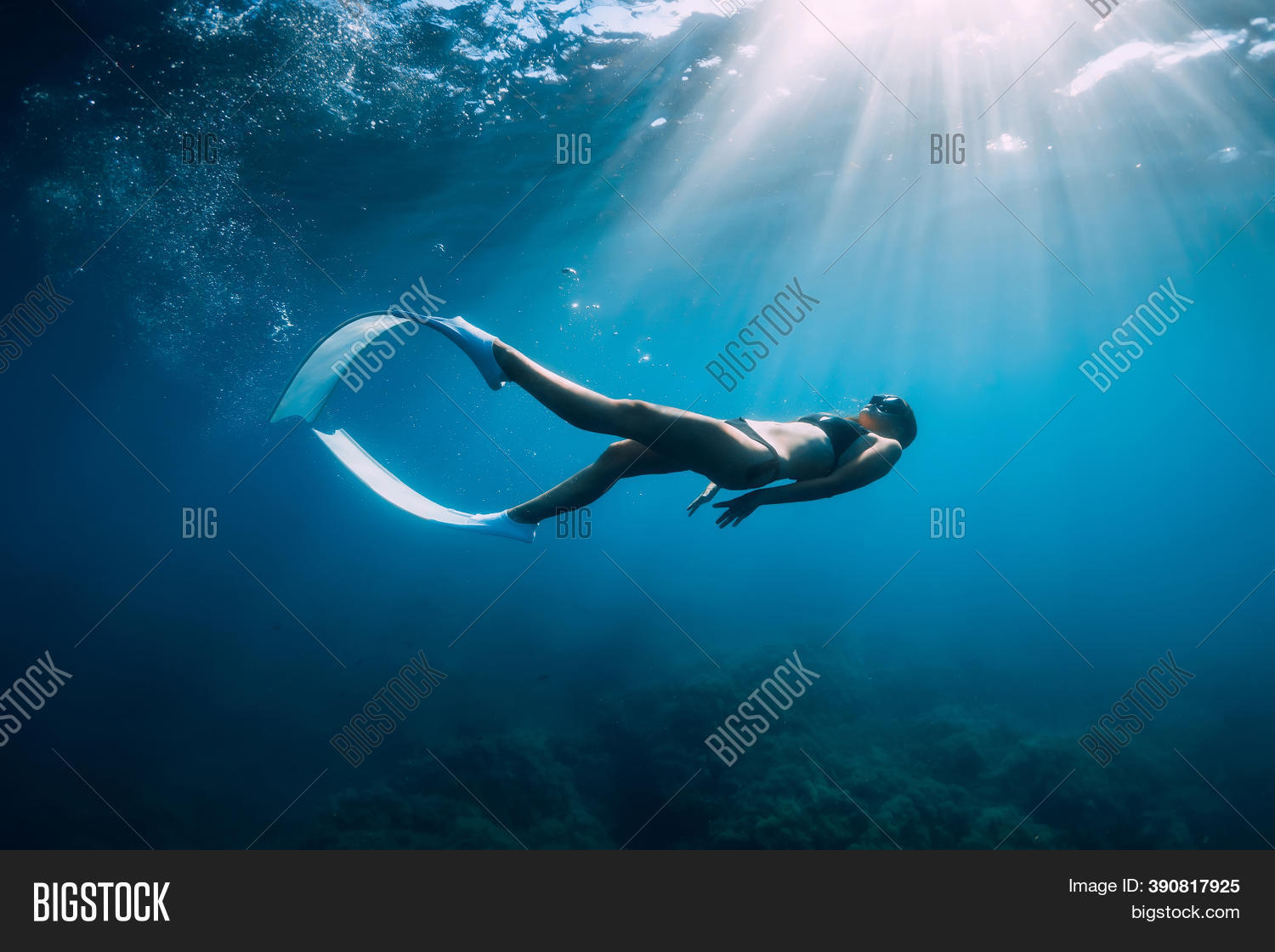 Free Diver Woman White Image & Photo (Free Trial) | Bigstock