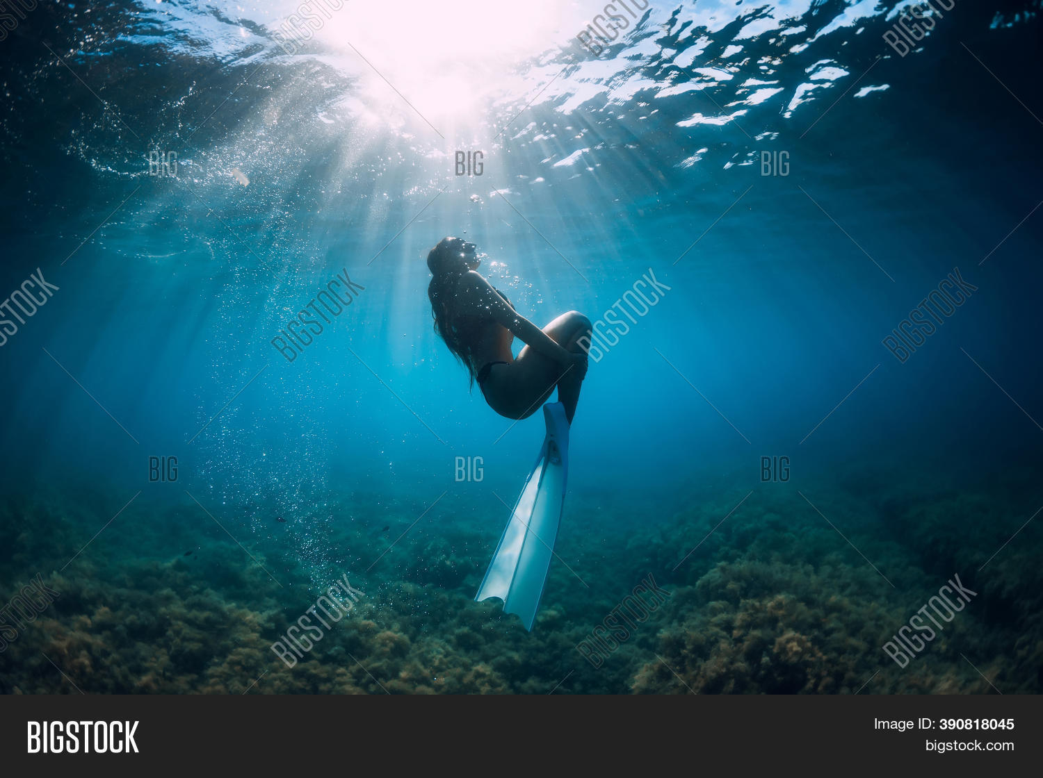 Free Diver Woman White Image & Photo (Free Trial) | Bigstock
