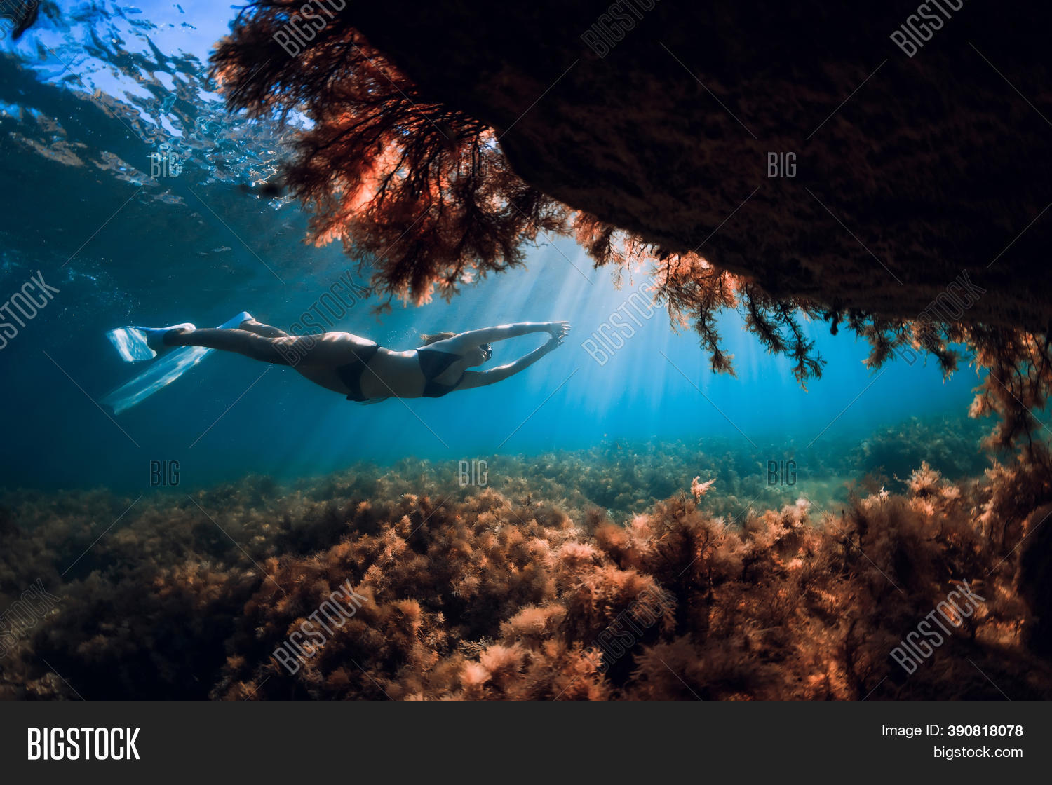 Freediver Girl White Image & Photo (Free Trial) | Bigstock