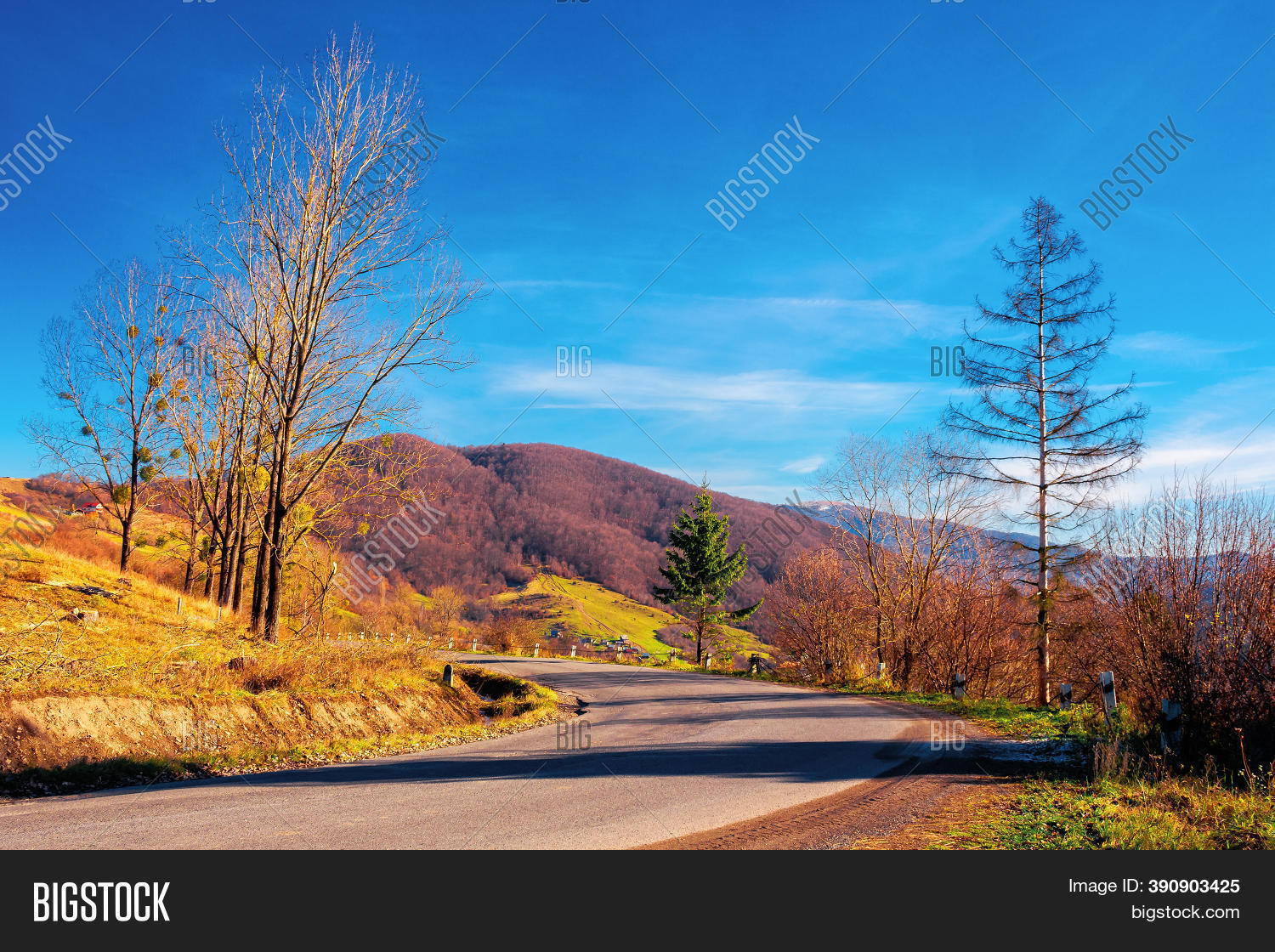 Country Road Autumn. Image & Photo (Free Trial) | Bigstock