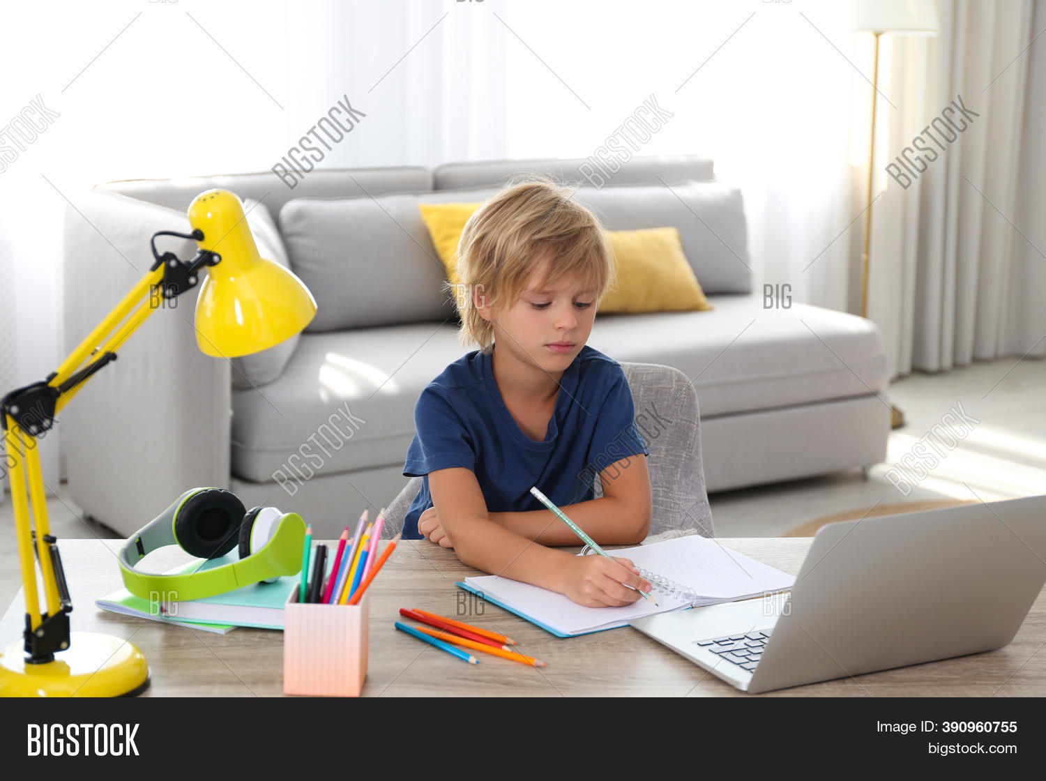 Little Boy Studying Image & Photo (Free Trial) | Bigstock