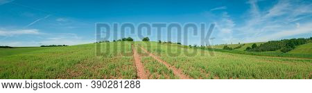 Rural Grass Field Images, Illustrations & Vectors (Free) - Bigstock