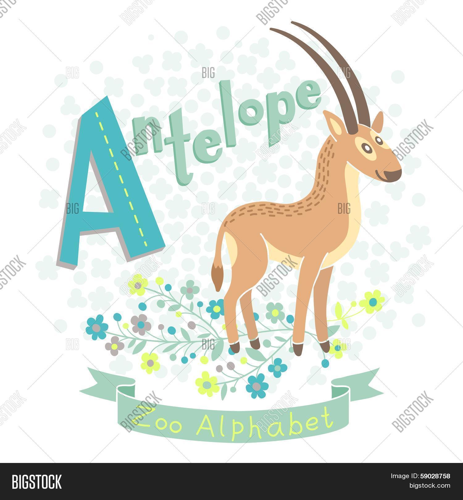 Letter - Antelope Vector & Photo (Free Trial) | Bigstock