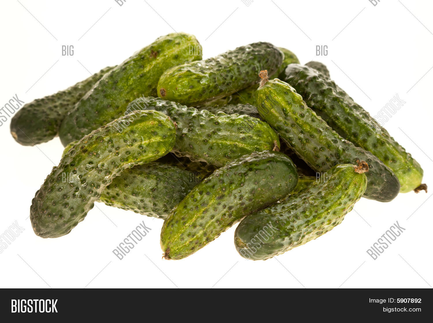 Bunch Small Cucumbers Image & Photo (Free Trial) | Bigstock