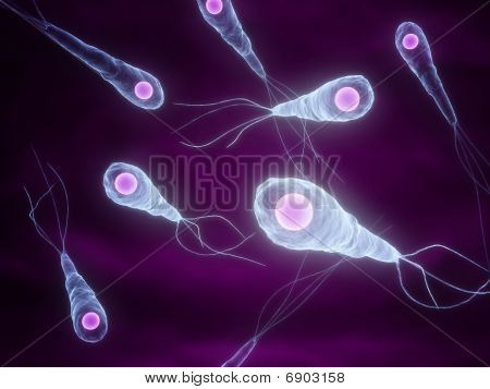 Tetanus Bacteria Image & Photo (Free Trial) | Bigstock