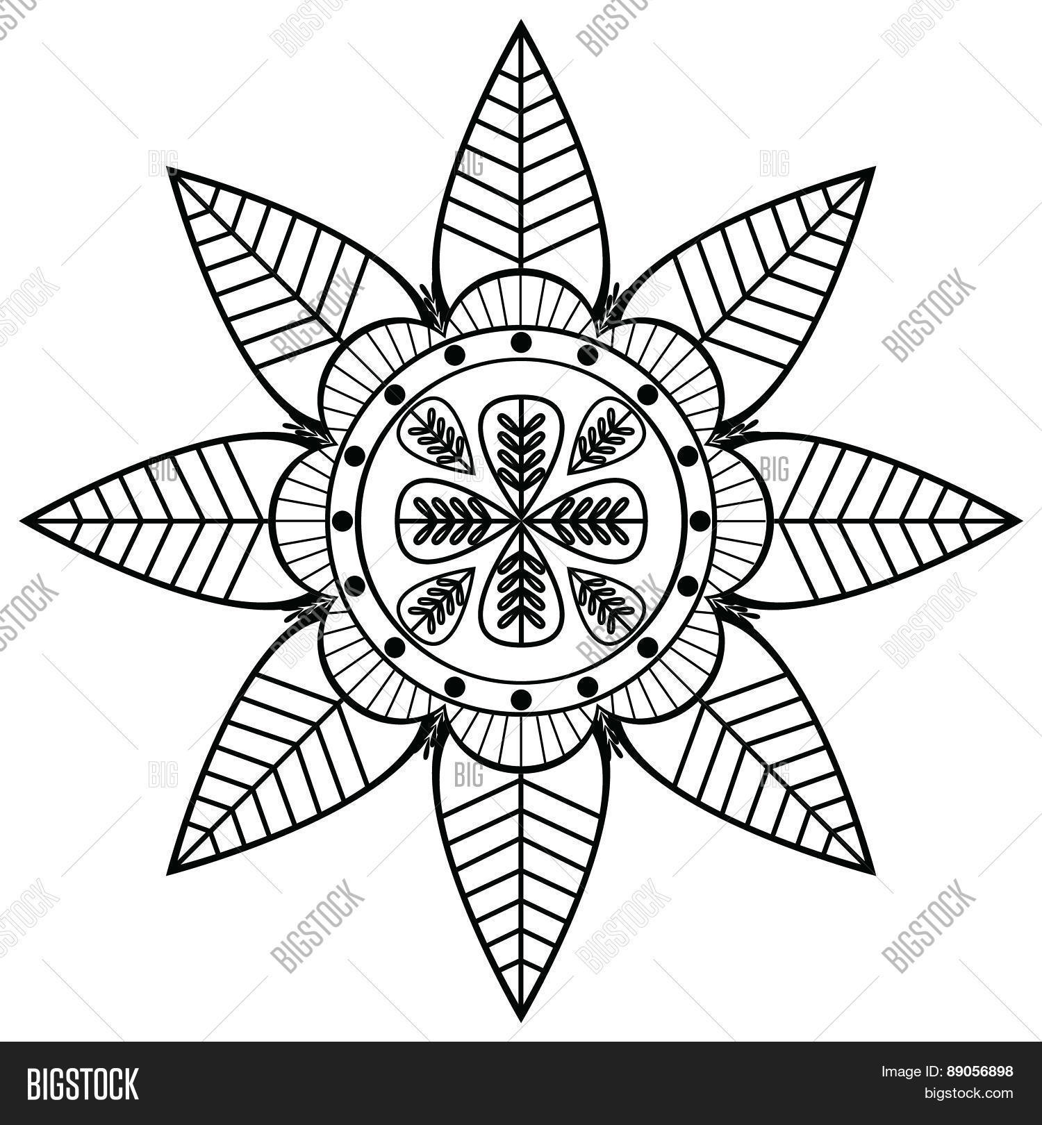 Flower Shape 8 Leaves Vector & Photo (Free Trial) | Bigstock