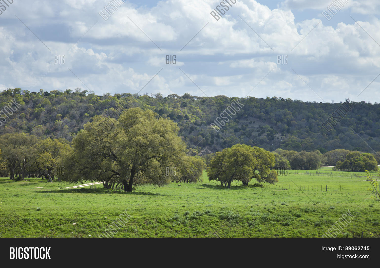 Ranch Pasture Texas Image & Photo (Free Trial) | Bigstock