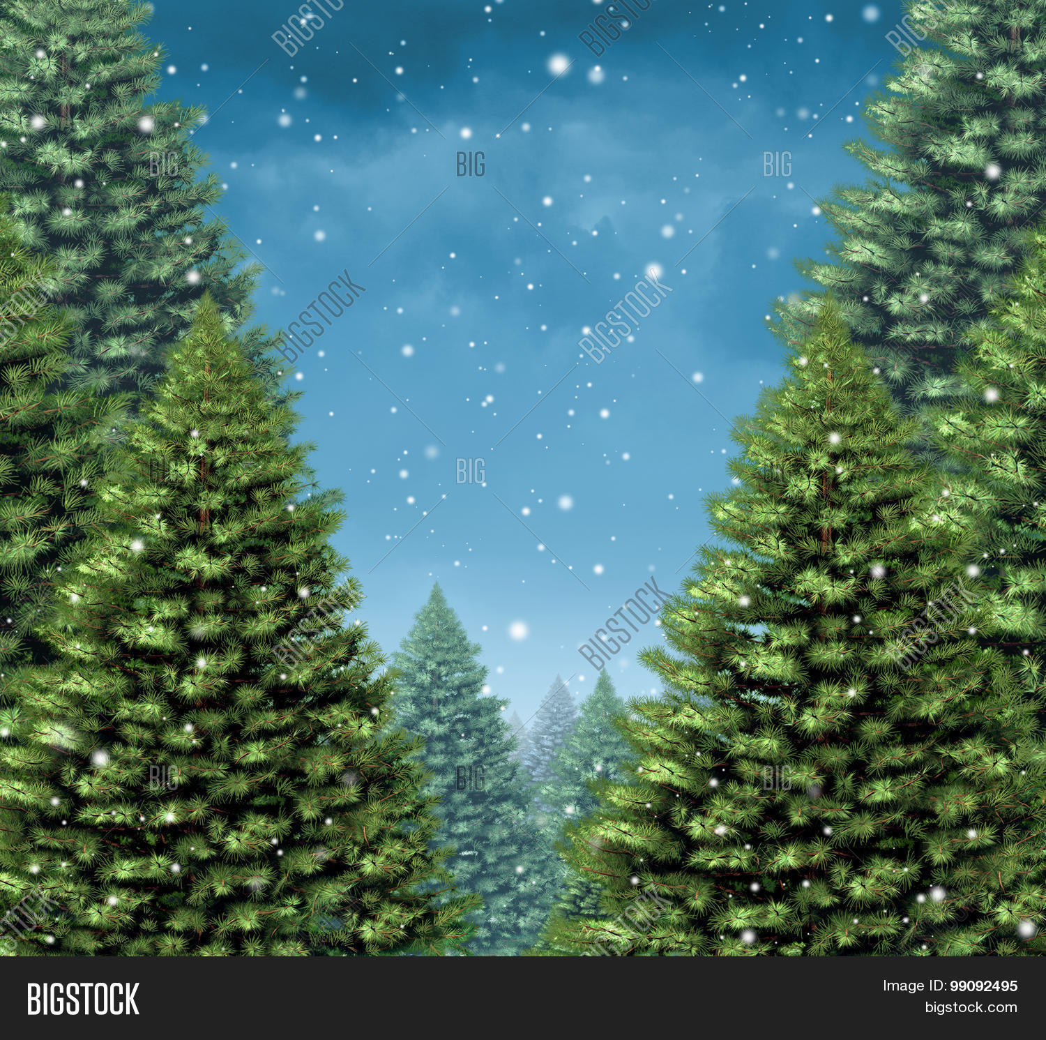 Winter Tree Background Image & Photo (Free Trial) | Bigstock